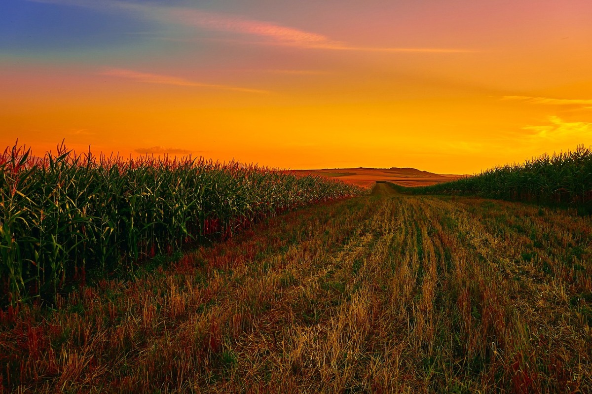 Explore Western Iowa with the Western Iowa Rural Passport Program